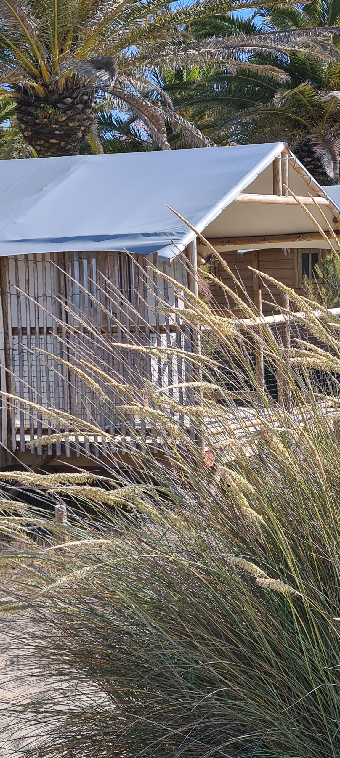 Camping sostenible | Camping Gavina Village | Costa Dorada